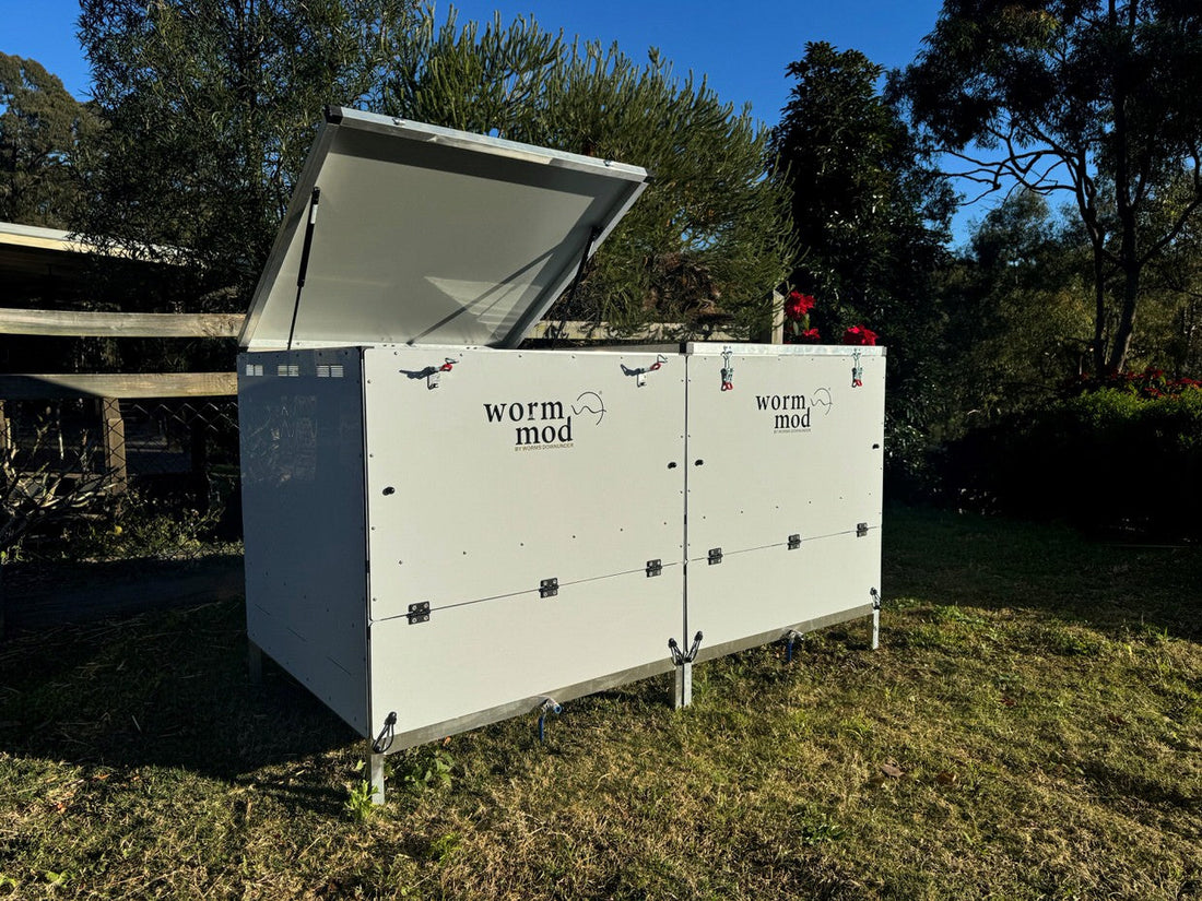 How do Worm Farms Work – Worms Downunder