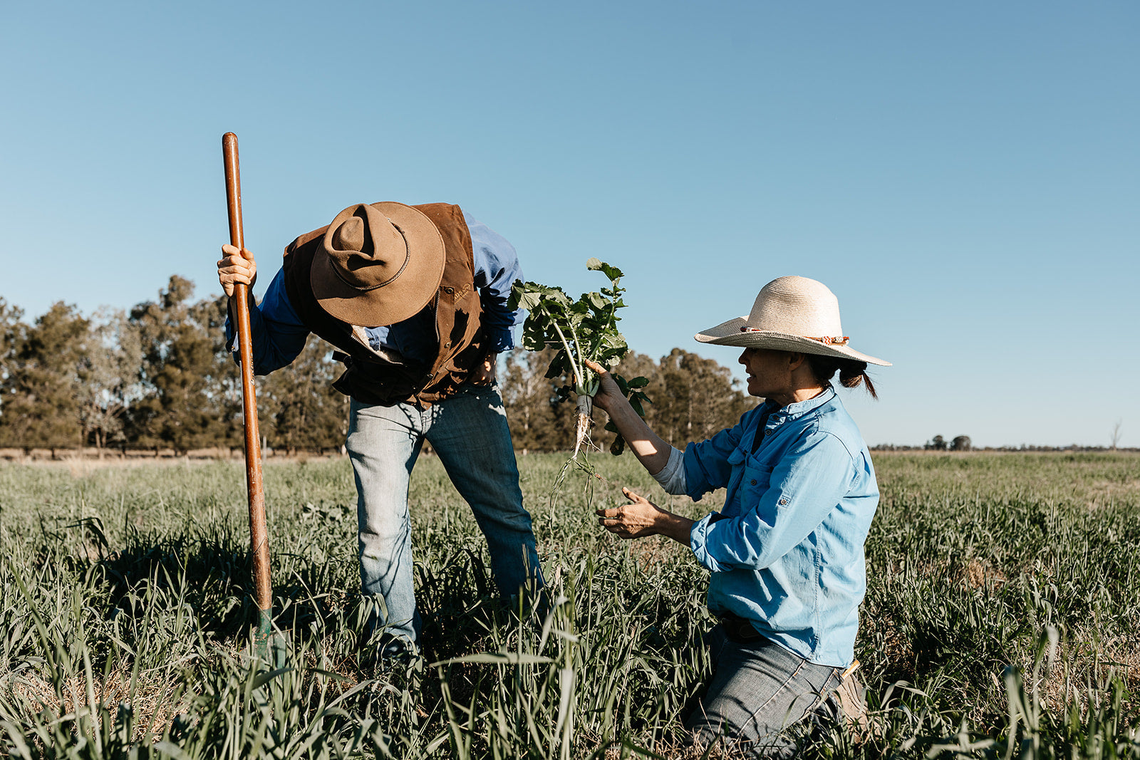 Deciphering Carbon's Role in Soil Health – Worms Downunder