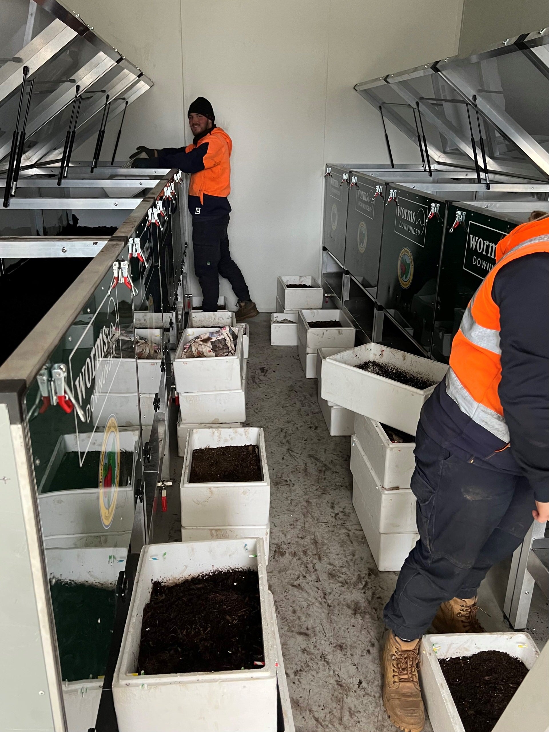 Assembled Worm Mod Units - Large-scale Worm Farm – Worms Downunder