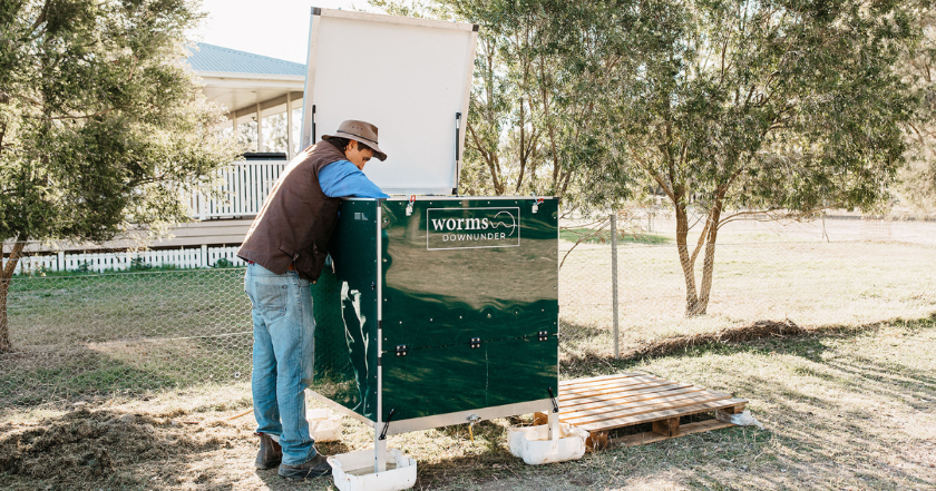 Sustainable Waste Management with Worms – Worms Downunder
