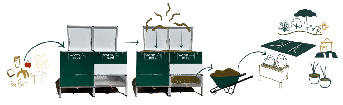 Sustainable Waste Management with Worms – Worms Downunder