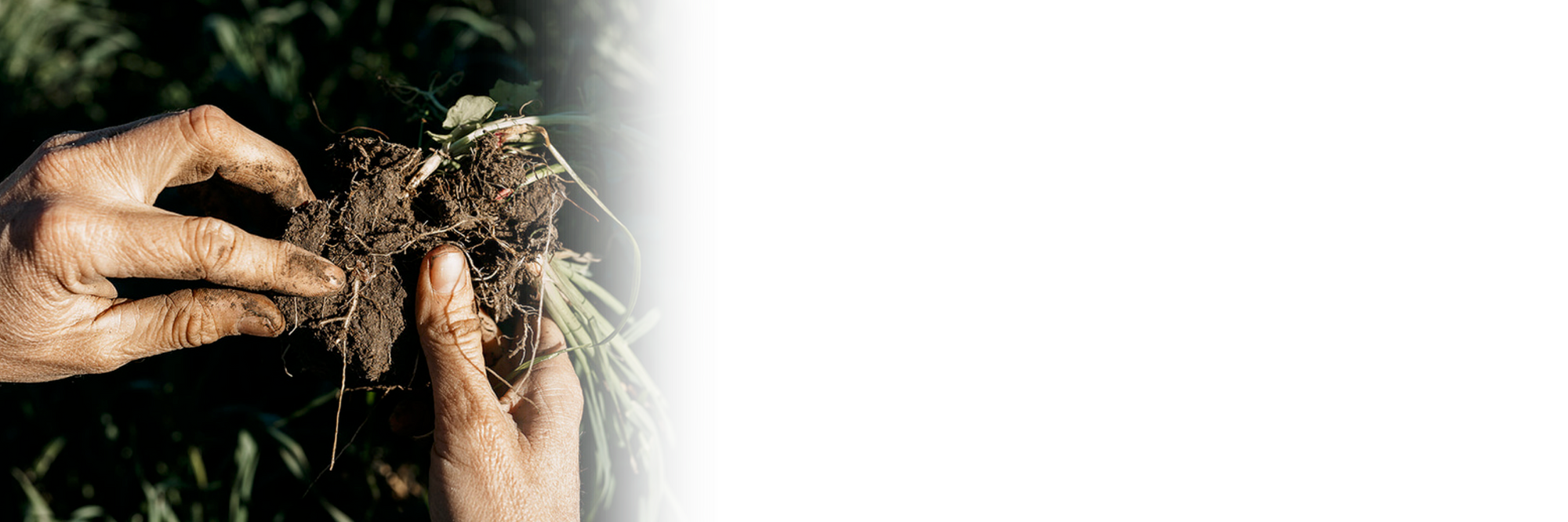 Home - Worms Downunder - Large scale worm farms and worm cast extract