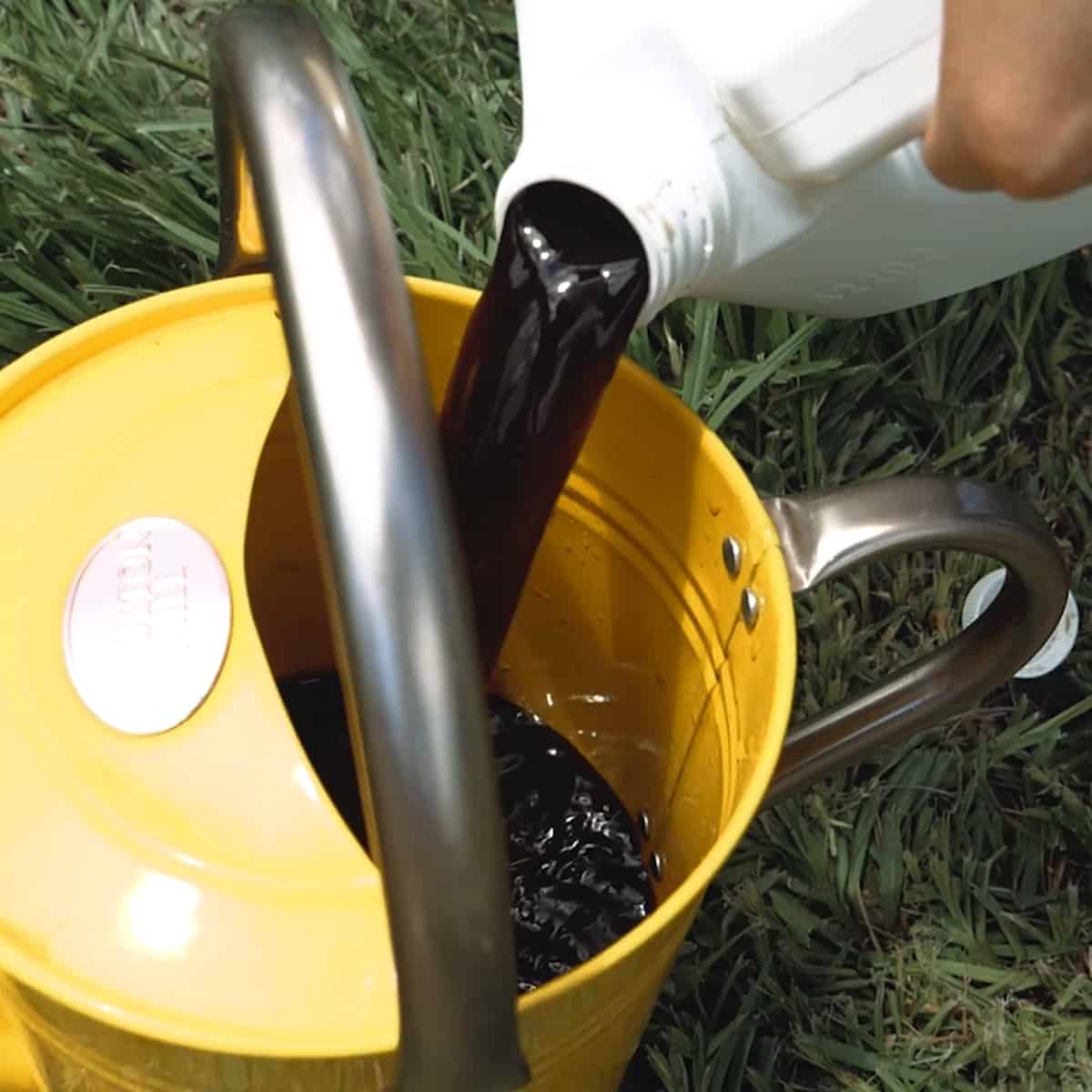 20L Worm Brew - Liquid Worm Cast Concentrate – Worms Downunder